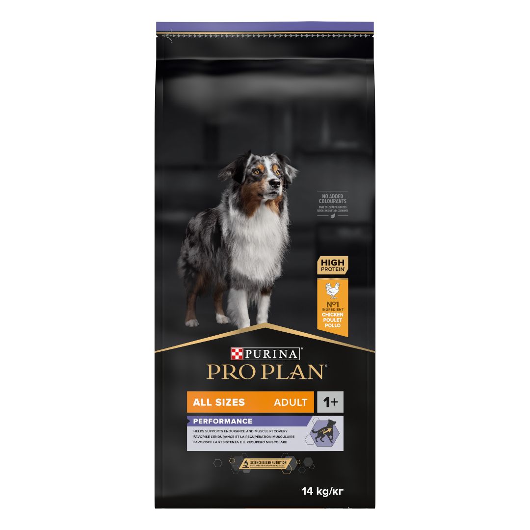 PRO PLAN® Performance Τροφή για ενήλικες σκύλους | Purina GR