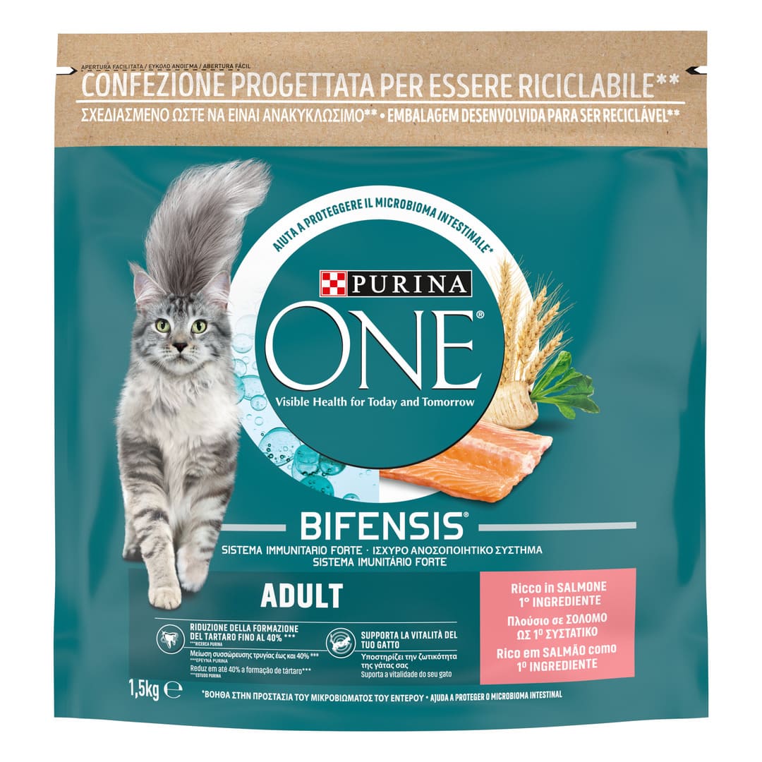PURINA ONE® Πλούσια σε σολομό τροφή για γάτες | Purina GR